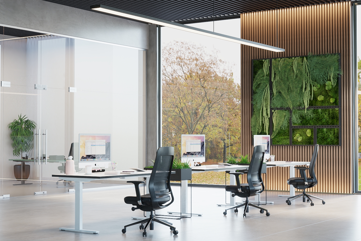 Biophilic Office Design 101: Everything You Should Know